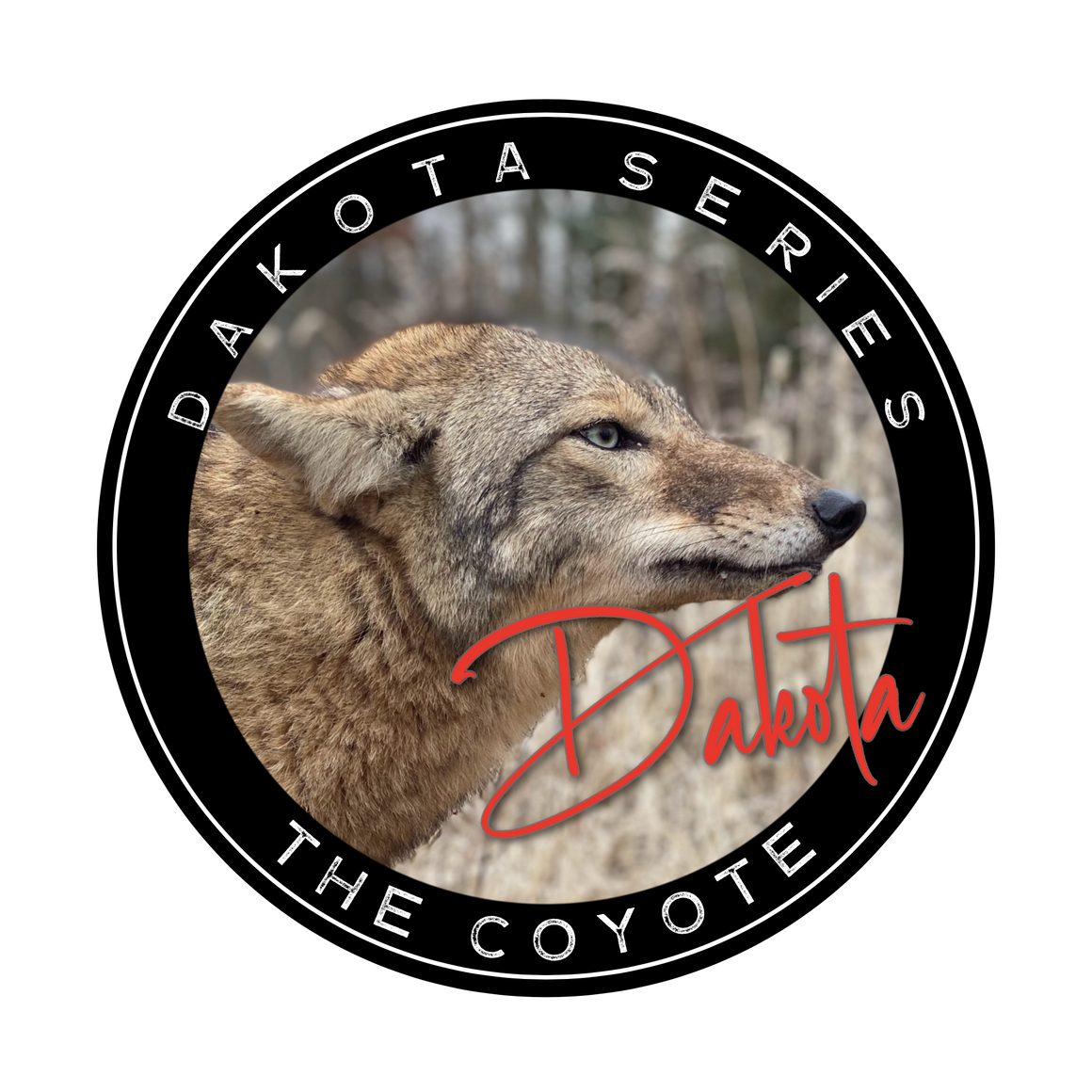 Duke Dog Proof Raccoon Trap – North American Trapper