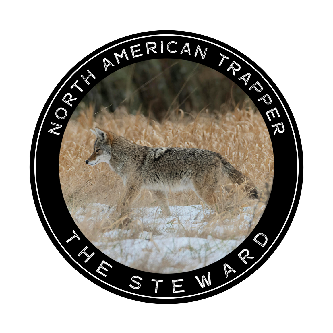 TRAPPING PACKAGES: Beginner Trapping Starter Kits