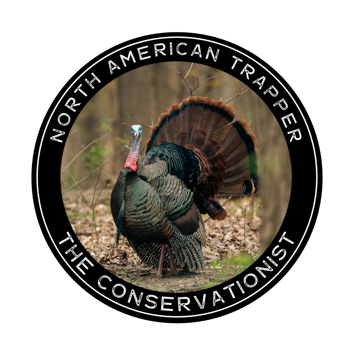 TRAPPING PACKAGES: Beginner Trapping Starter Kits